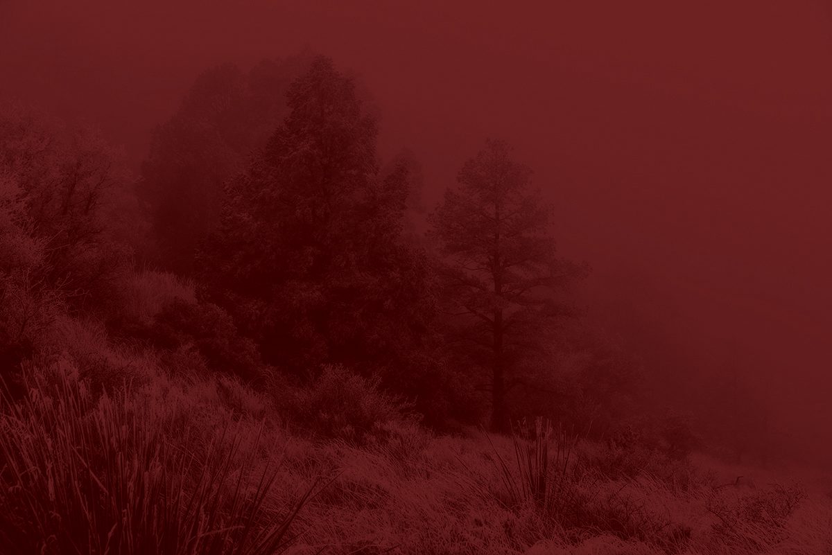 Buck Taylor Art - The BEST Place for Western Art!